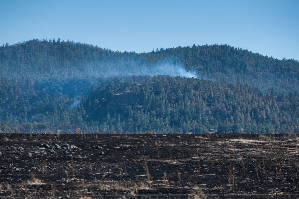 An area near Alpine, AZ showing an area burned by the Wallow Fire with ...
