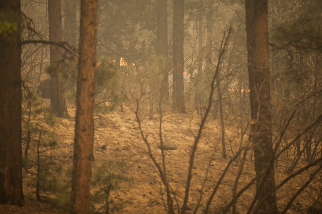 Four Years Ago I Was 300 Feet from the Largest Wildfire in Arizona ...